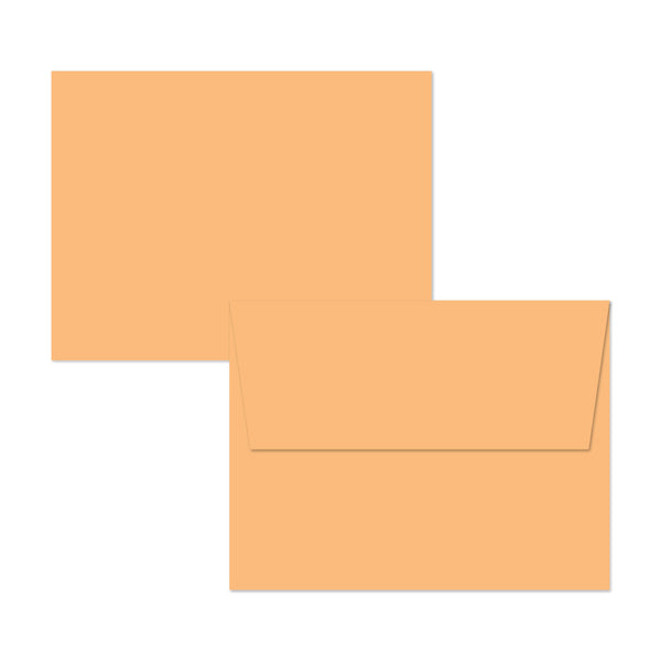 CONCORD & 9 TH: Envelope Assorted Pack | 2024 Color Collection – Doodlebugs